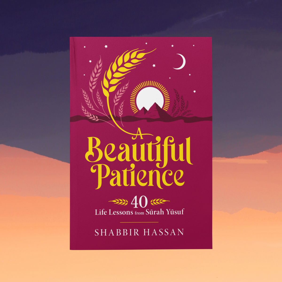 A Beautiful Patience: 40 Life Lessons from Surah Yusuf – Imam Ghazali ...